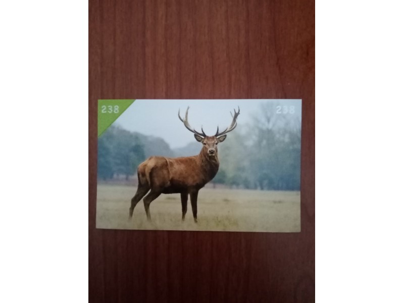 Životinjsko carstvo broj 238