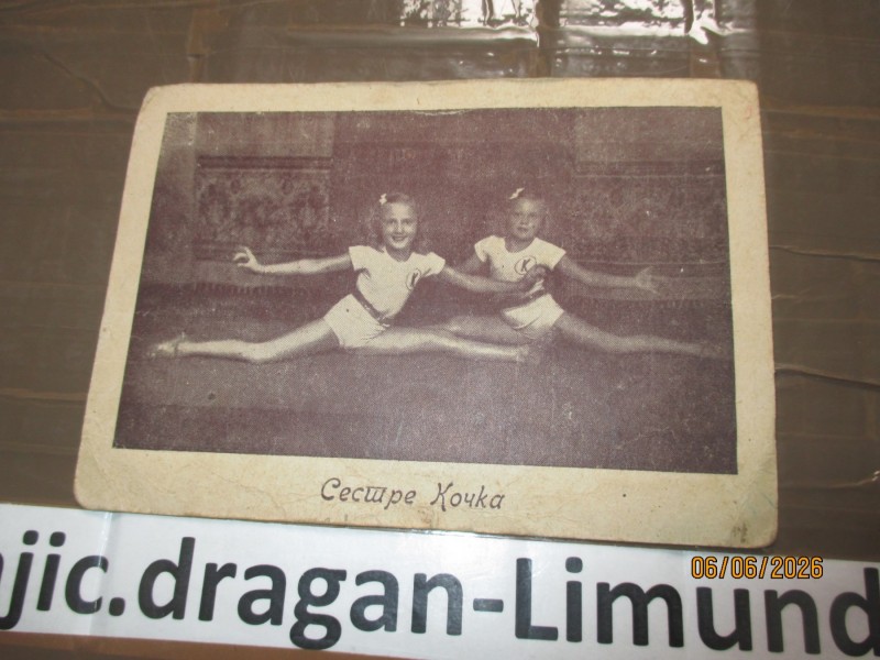 Sestre Kočka