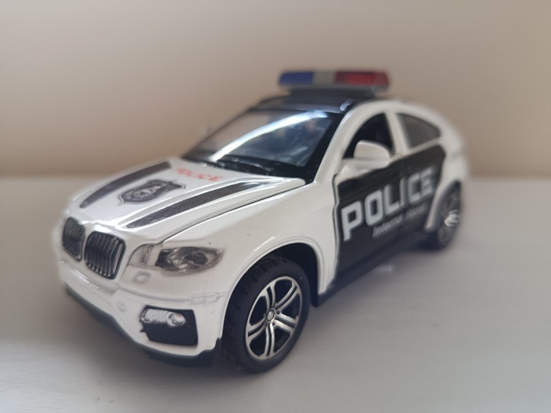 Police International
