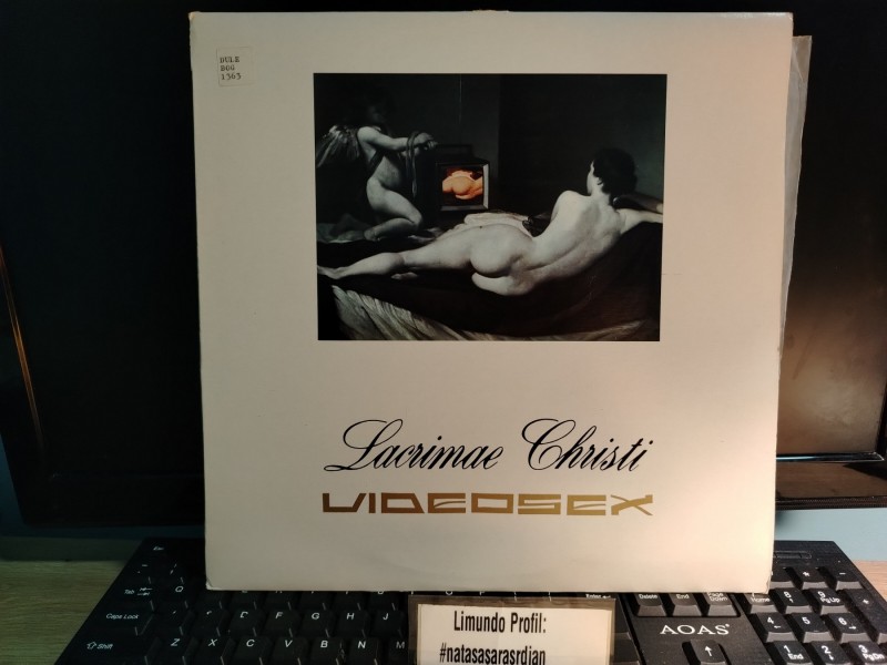 Videosex