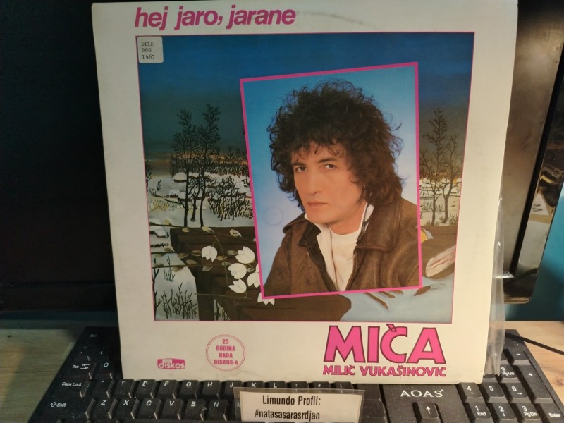 Mica Milic Vukašinović
