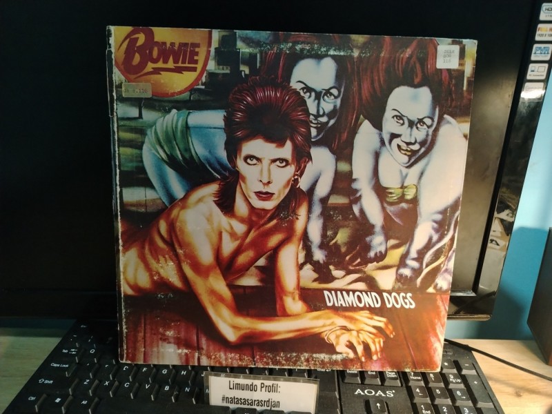 David Bowie