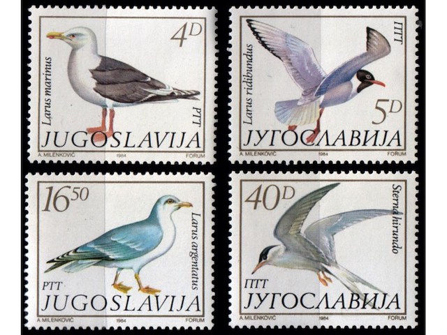 FAUNA PTICE 1984