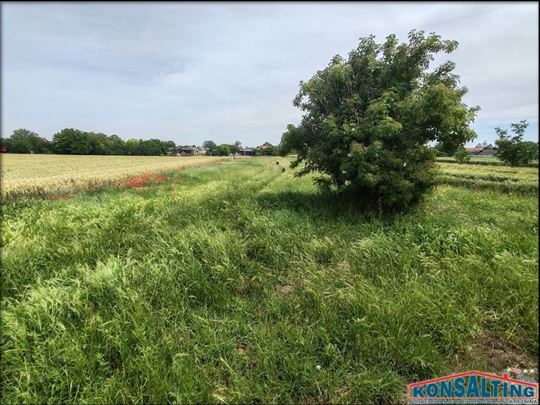 Plac za gradnju, Belegiš, šifra 074