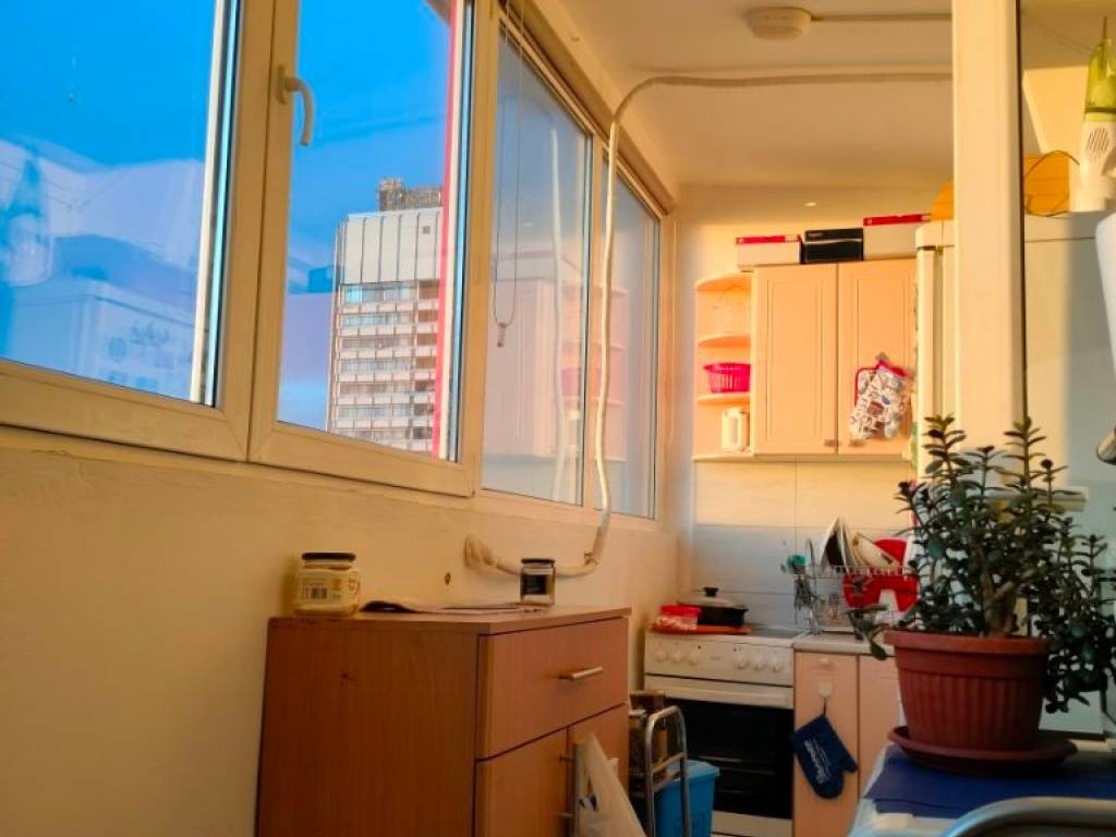 Garsonjera Miročka, Palilula Centar - Tašmajdan - Pravni fakultet, Beograd