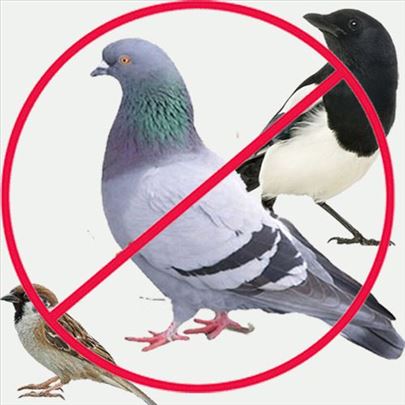 Stop Birds Rasterivač