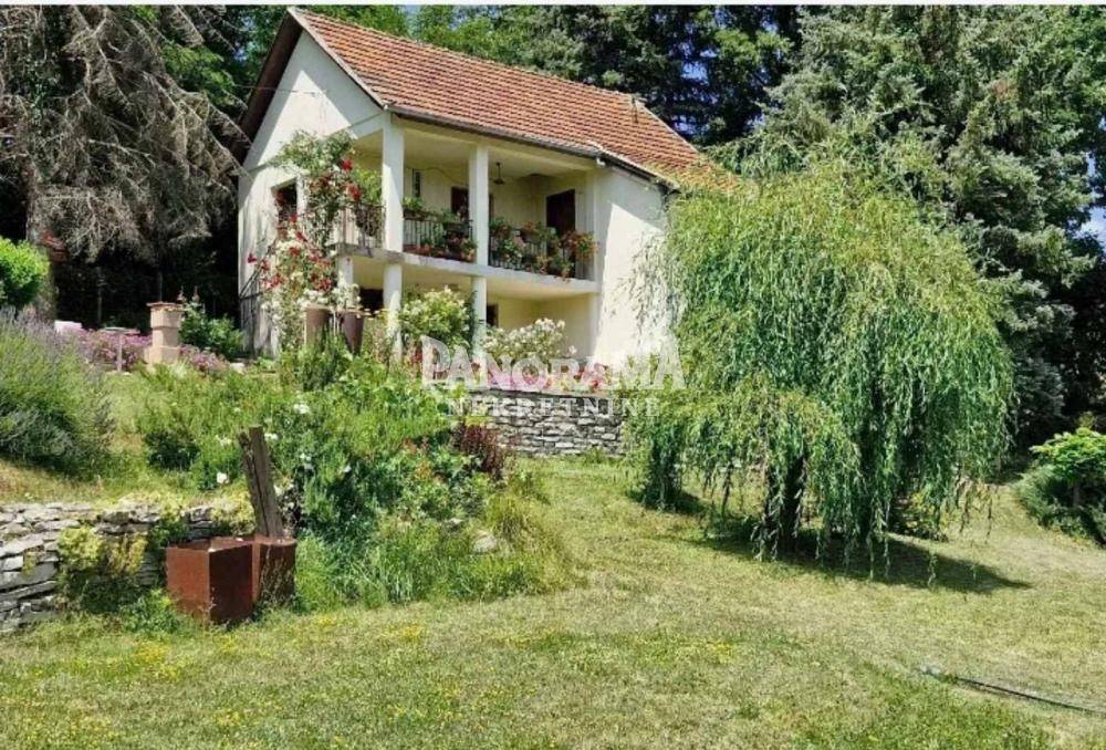 Samostalna porodična vila 110 m², za renoviranje, Mionica