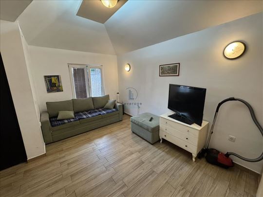 Višnjička Banja. Miloja Vasića, 20 m2
