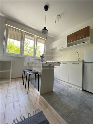 Novi Beograd – Stara Bežanija, 1,5-soban renoviran