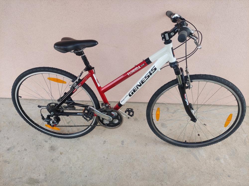Genesisi alu 28