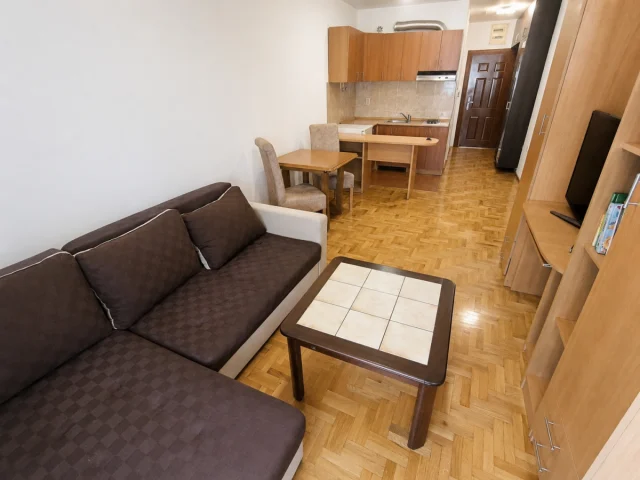 Grbavica. Stan koji ima sve što je potrebno – 30m2- odmah useljiv