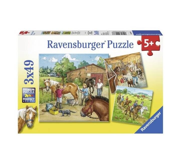 RAVENSBURGER PUZZLE - DANA NA ERGELI