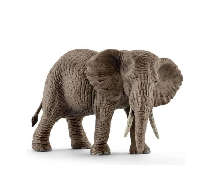 SCHLEICH IGRAČKA AFRIČKI SLON, ŽENKA