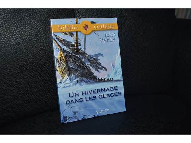 + Un hivernage dans les glaces - Jules Verne