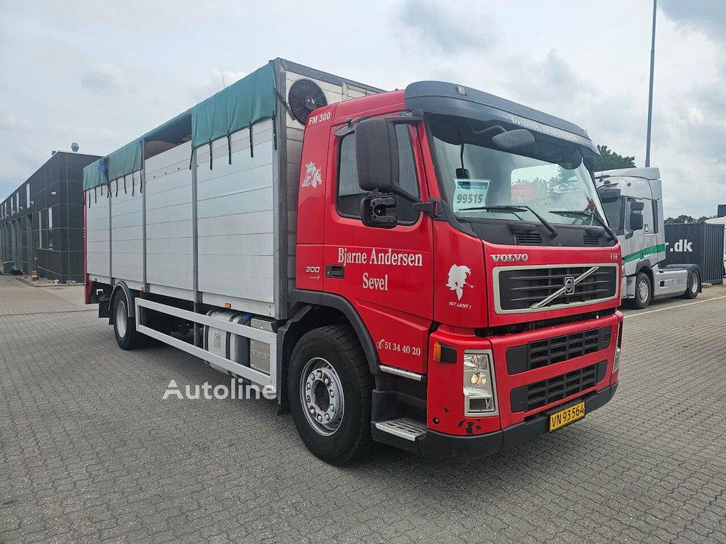 Volvo FM 300 4x2 - Livestock 1 deck - Euro 4 - I shift kamion za prevoz stoke
