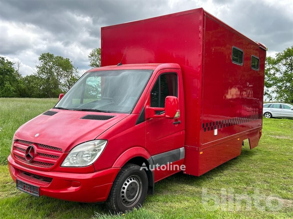 Prodaje se Mercedes-Benz Sprinter 906 OK 35 kamion za prevoz konja na aukciji