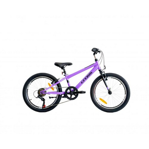 20'' CROSS HARMONY / Purple