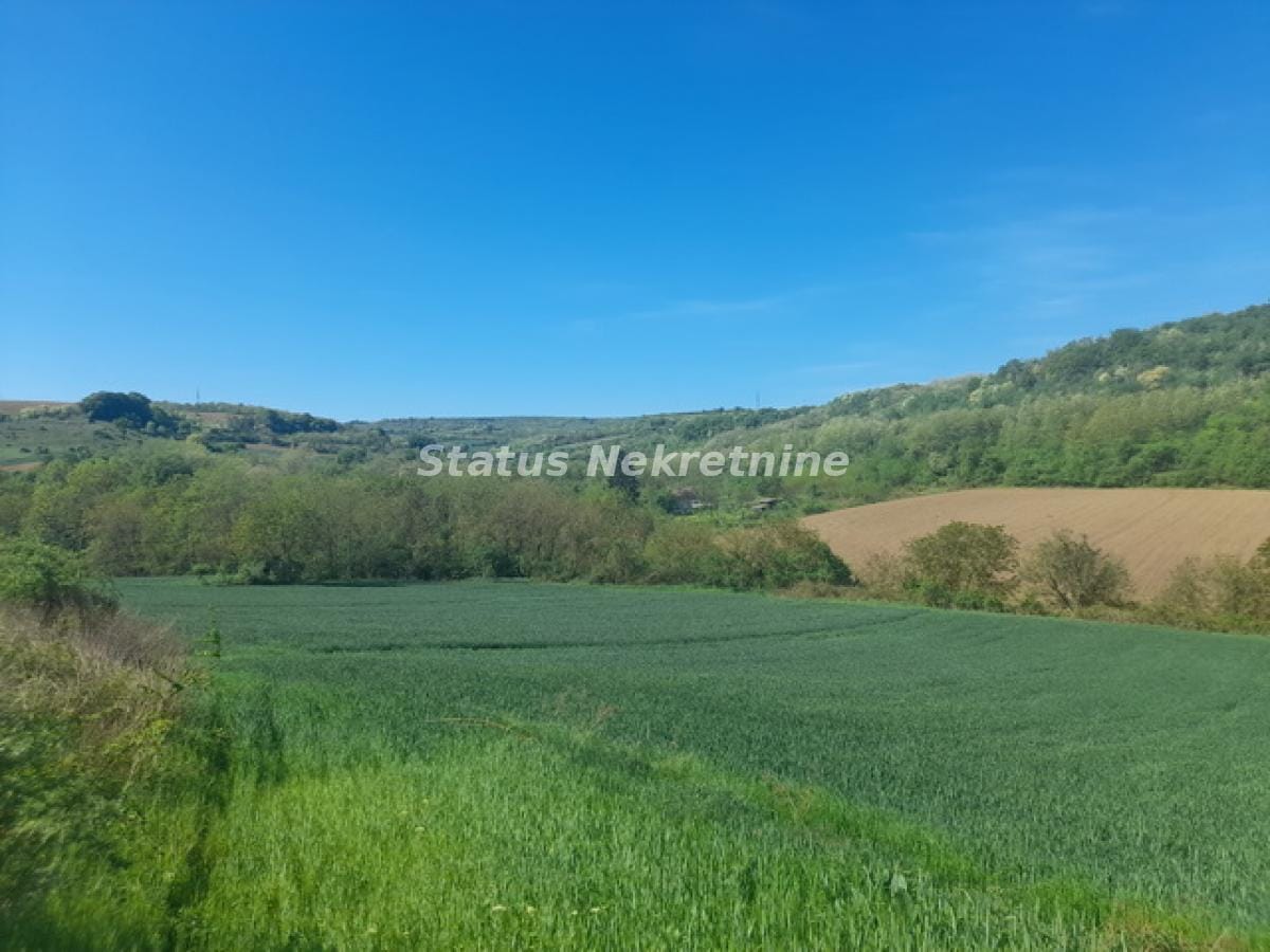 Plac na prodaju, Sremski Karlovci, 294,72 ari, 93.000 €