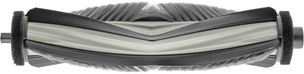 Main brush