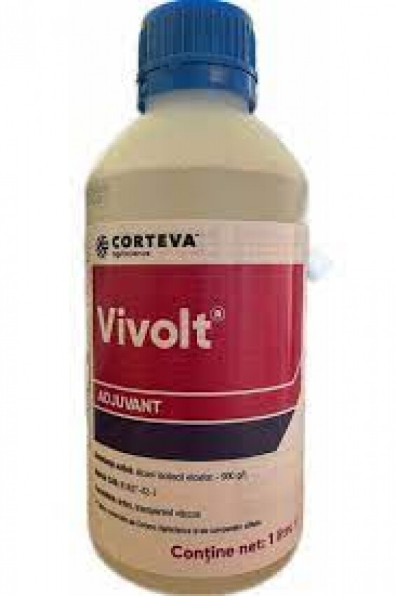 VIVOLT 1/1