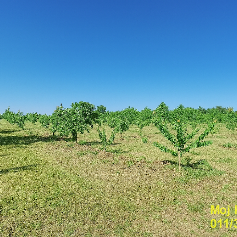 Plac – Beograd, Grocka – ID 23318.