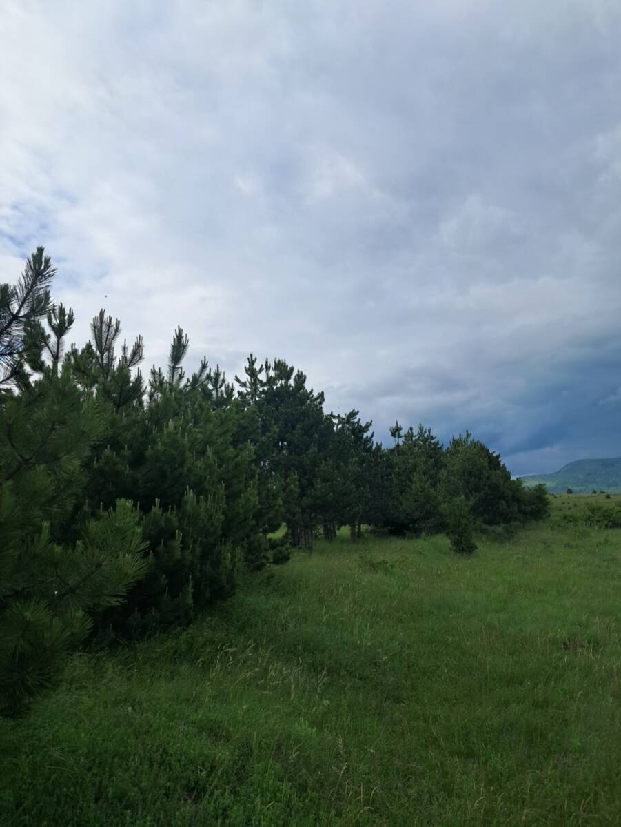 Plac, Pirot - Pokrevenik | Prodaja · 1934m² · 10.000€