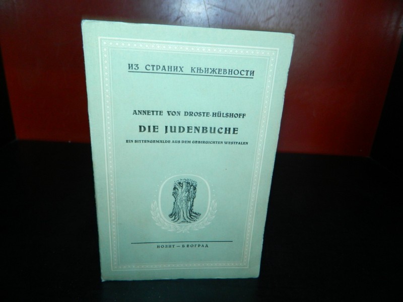 Die Judenbuche, Droste-Hülshoff, Annette von