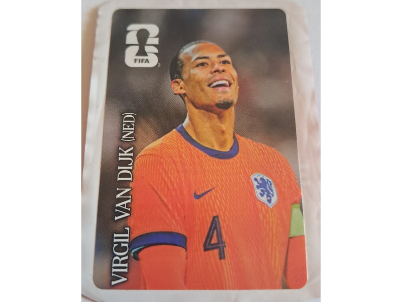 CC6 VIRGIL VAN DIJK (NED)