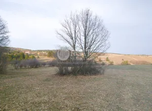 Prodaja Građevinsko zemljište - Požega