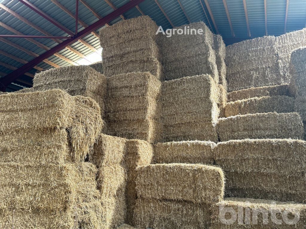 Bale pshenitse 48 komada