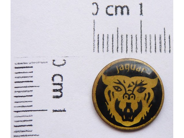 Jaguar