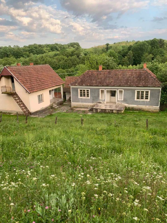 Dve kuce na prodaju-Bogovadja,Lajkovac
