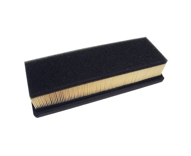 Filter vazduha Filtron AP022/2 - CAF100744P - MA1325