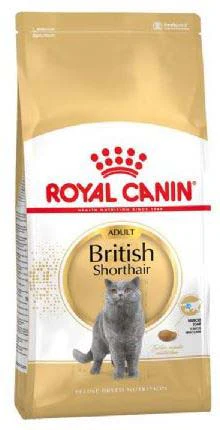 ROYAL CANIN FBN Adult British Shorthair