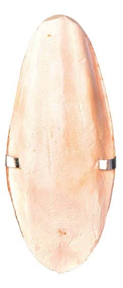 TRIXIE Dodatak hrani za ptice mineralna Sipina kost s kalcijumom, 11cm/40g