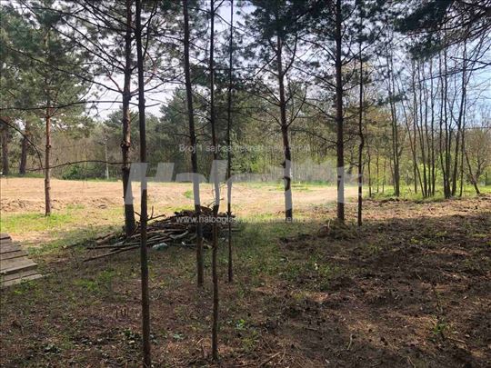 Odličan plac u Deliblatskoj peščari