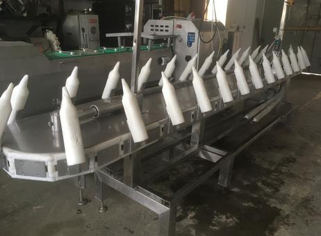 Klanica LINCO Cone deboning line