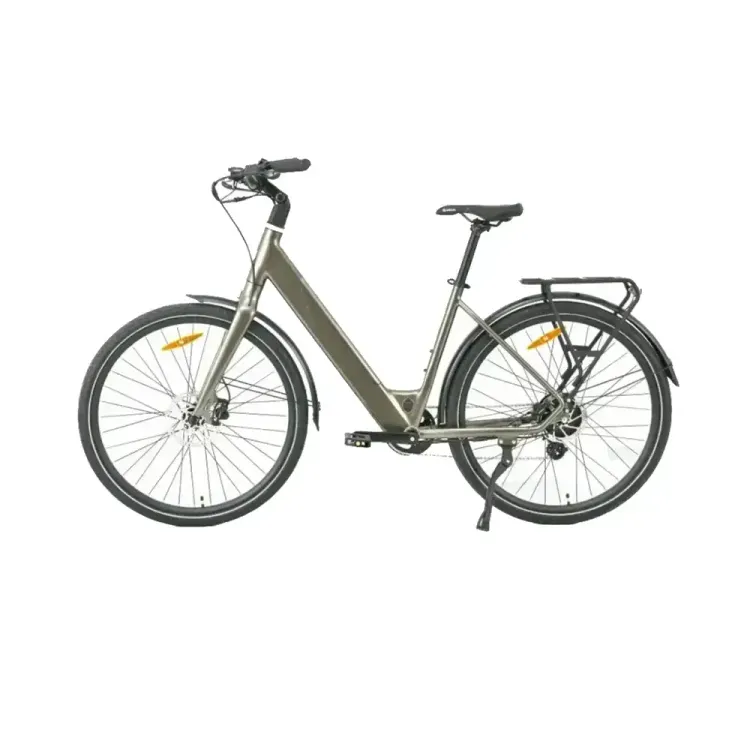 MS ENERGY eBike Zorya Bronze