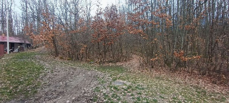 Plac u Atomskoj Banji