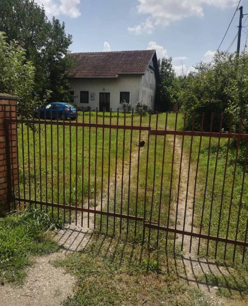 Prodajem kucu u Borci
