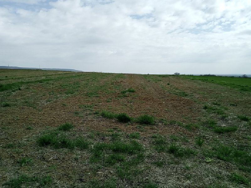 Banja VRDNIK, Fruška gora - PLAC 4.991 m2