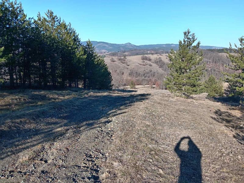 Plac 10 ari tometino polje Divčibare