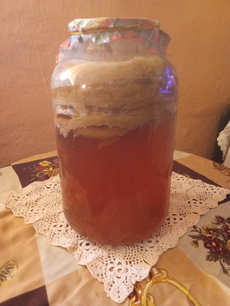 Prodajem KOMBUHU