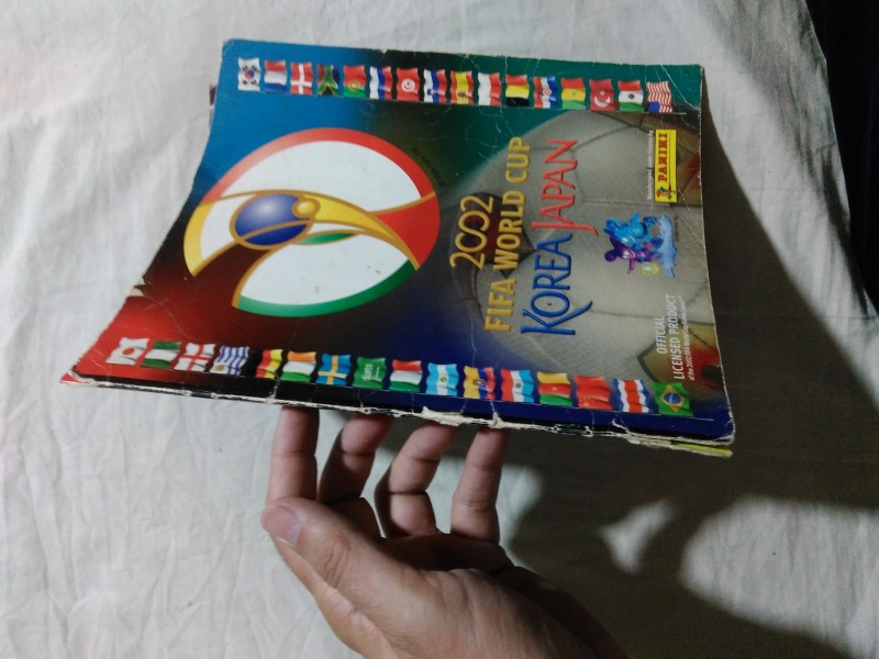 Korea Japan Panini 2002