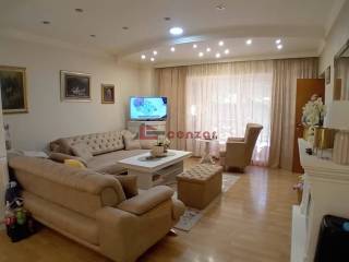 Samostalna porodična vila 398 m², Subotica