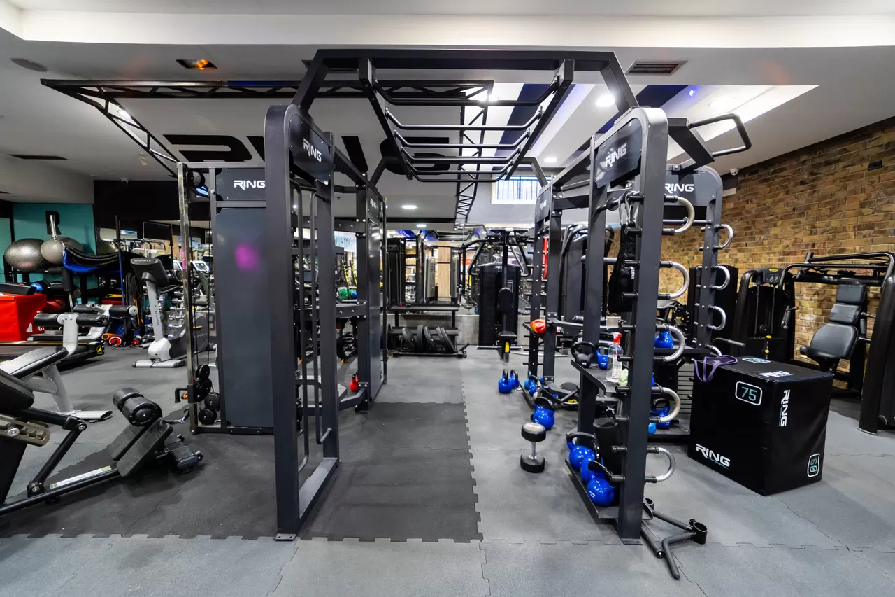 RING Synergy 360 – Profesionalna multifunkcionalna trening stanica