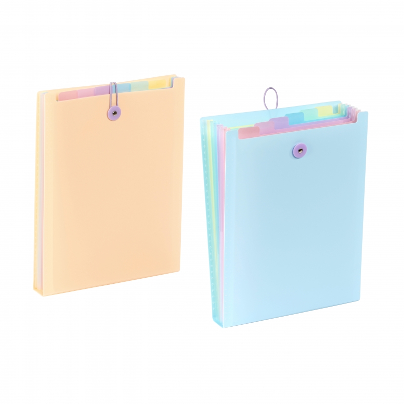 Expanding Organizer Sa 6 Pregrada I Gumicom USPRAVNI Rainbow Pastel Viquel Sortirano
