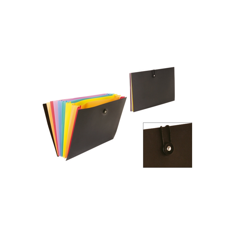 Expanding Organizer Rainbow Class Viquel