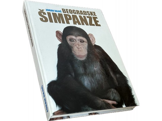 Beogradske šimpanze - Zoran Rajić