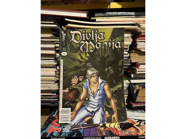 Divlja magija 2